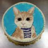 Cat face – Tastee Pantry
